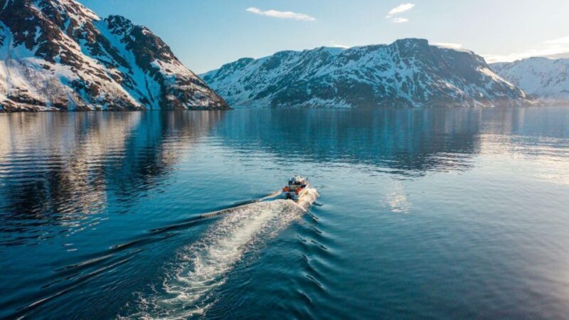 From Alta: Adventure Cruise in Alta Fjord - Key Points