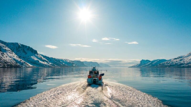 From Alta: Adventure Cruise in Alta Fjord - A Closer Look at the Alta Fjord Cruise Experience