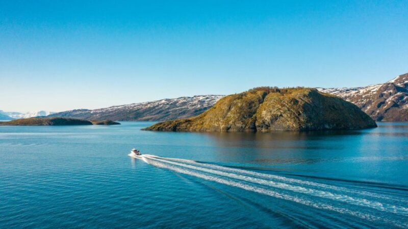 From Alta: Adventure Cruise in Alta Fjord - Who Will Appreciate This Tour?