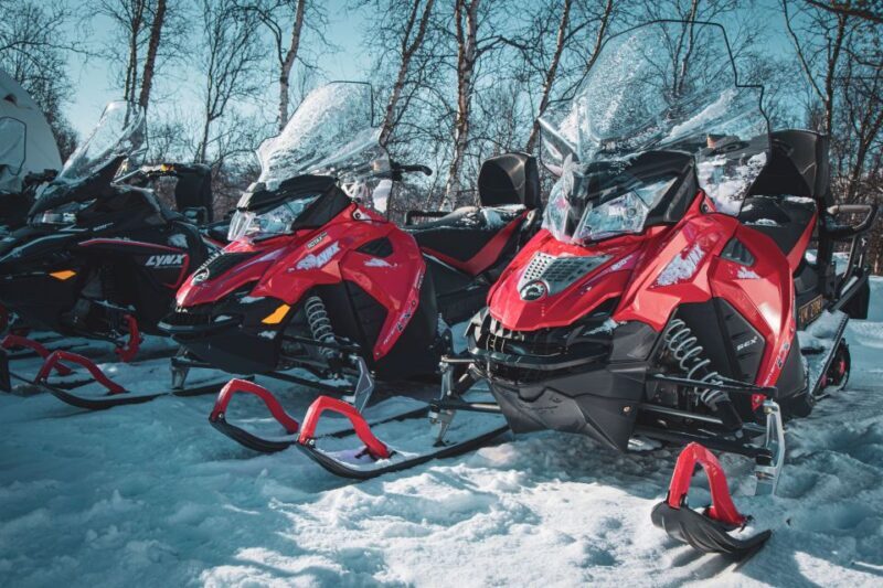 From Alta: Daytime Snowmobile Adventure - Authenticity & Reviews