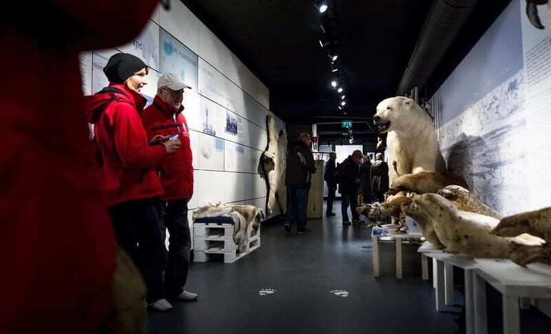 From Alta: Hammerfest Guided Day Tour 70.7 north - Who Should Consider This Tour?