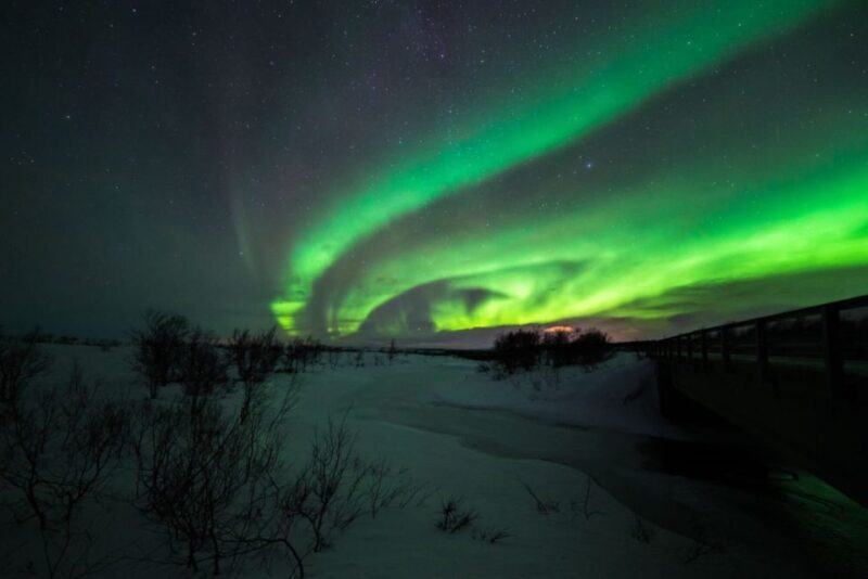 From Alta: Nighttime Northern Lights Spotting Tour - Who Should Consider This Tour?