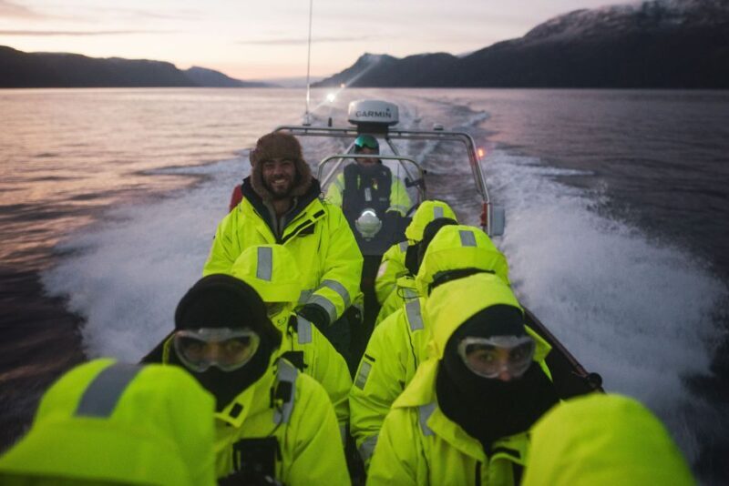 From Alta: Small Group Whale Watching by RIB - The Authentic Experience: What Travelers Say