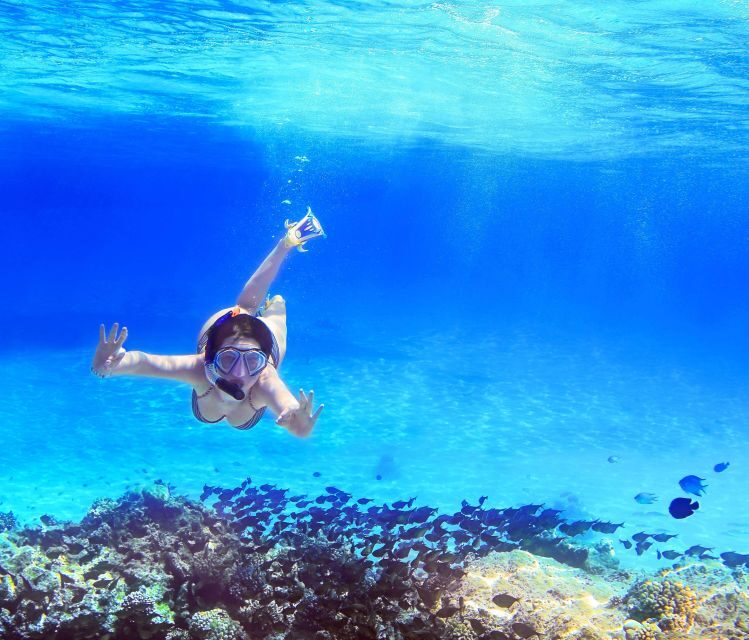 From Amalfi: Capri Island Boat Tour with Snorkeling & Drinks - Key Points
