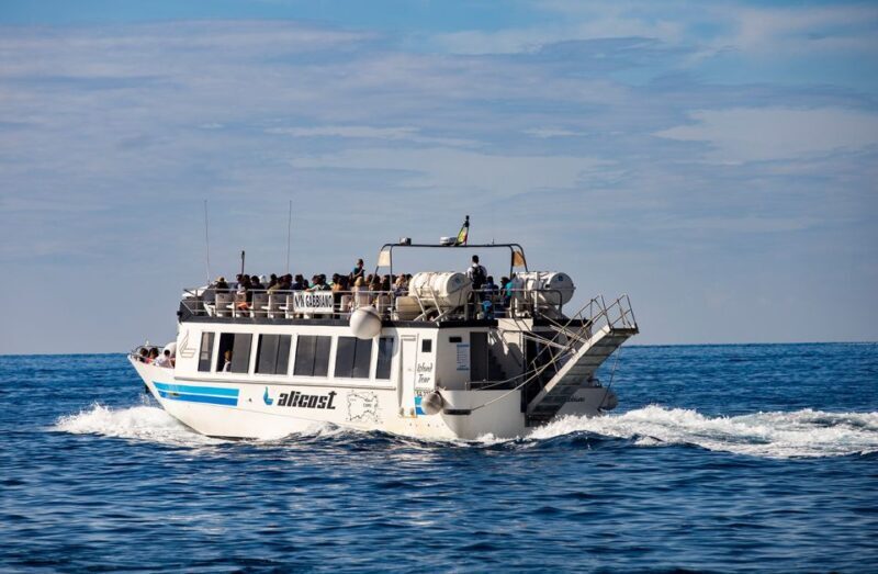From Amalfi Coast: Capri and Anacapri Full-Day Guided Trip - Who Will Love This Tour?