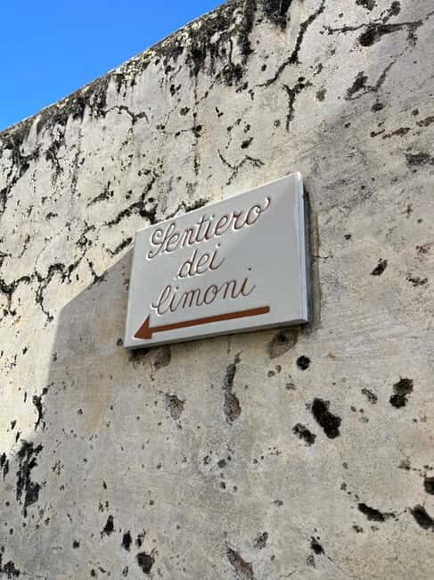 From Amalfi: Lemon Tour with Tasting Session and Transfer - An In-Depth Look at the Amalfi Lemon Tour