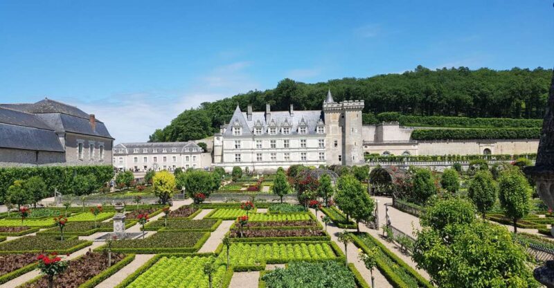 From Amboise: Villandry, Azay-le-Rideau & Winery - Authentic Experiences and Honest Opinions