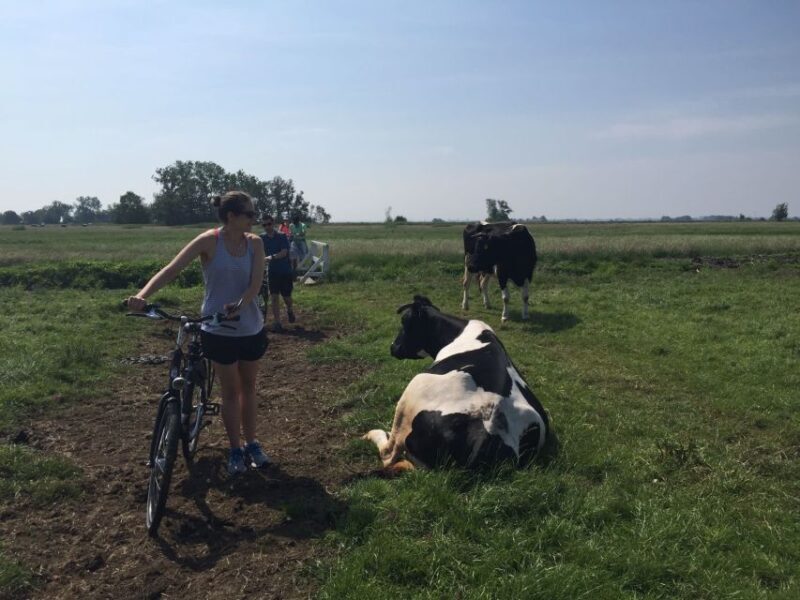 From Amsterdam: Countryside Bike Tour - Key Points