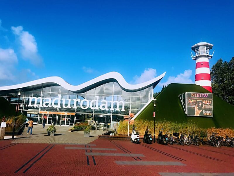 From Amsterdam: Day Tour to Rotterdam, Delft and The Hague - An In-Depth Look at the Experience