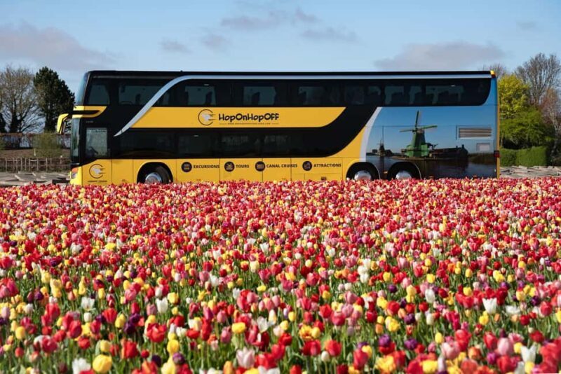 From Amsterdam: Day Trip Madurodam and Keukenhof Gardens - Key Points