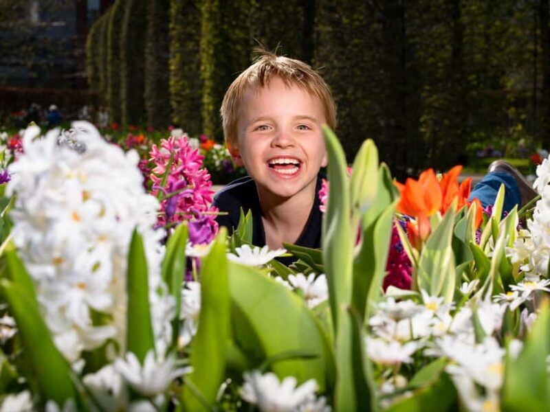 From Amsterdam: Day Trip Madurodam and Keukenhof Gardens - Frequently Asked Questions