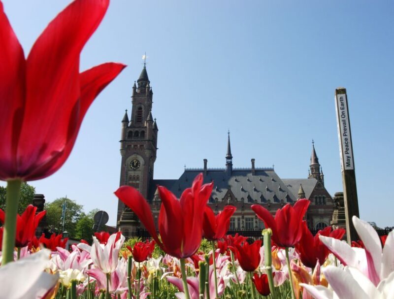 From Amsterdam: Guided Trip to Rotterdam, Delft & The Hague - Exploring Rotterdam: A City of Bold Architecture