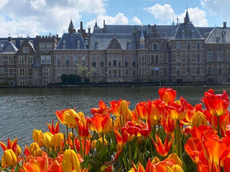 From Amsterdam: Guided Trip to Rotterdam, Delft & The Hague - The Hague: Politics, Royalty, and Art