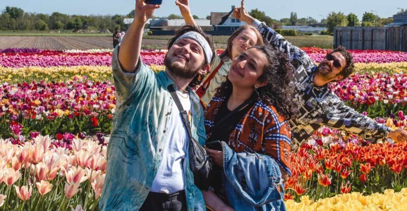 From Amsterdam: Keukenhof Gardens & Tulip Experience Tour - Overview of the Experience