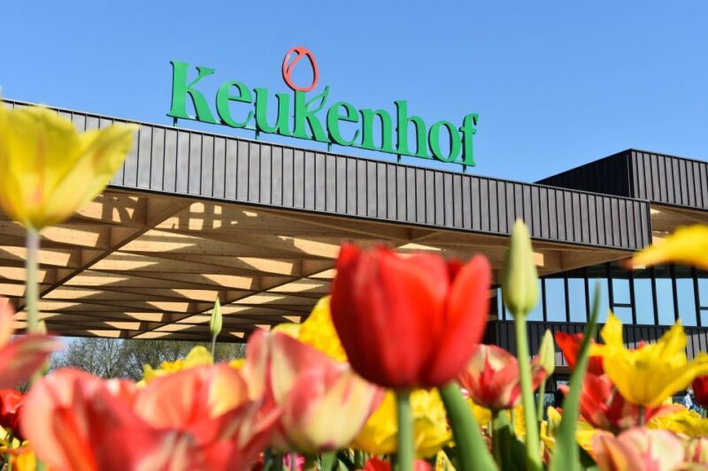 From Amsterdam: Keukenhof Gardens & Tulip Experience Tour - Practical Details and Logistics