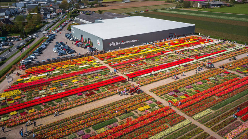 From Amsterdam: Keukenhof Gardens & Tulip Experience Tour - Final Thoughts