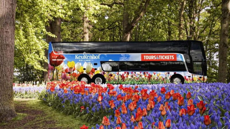 From Amsterdam: Keukenhof Shuttlebus and Entry Ticket - Transportation and Logistics: Why It Matters