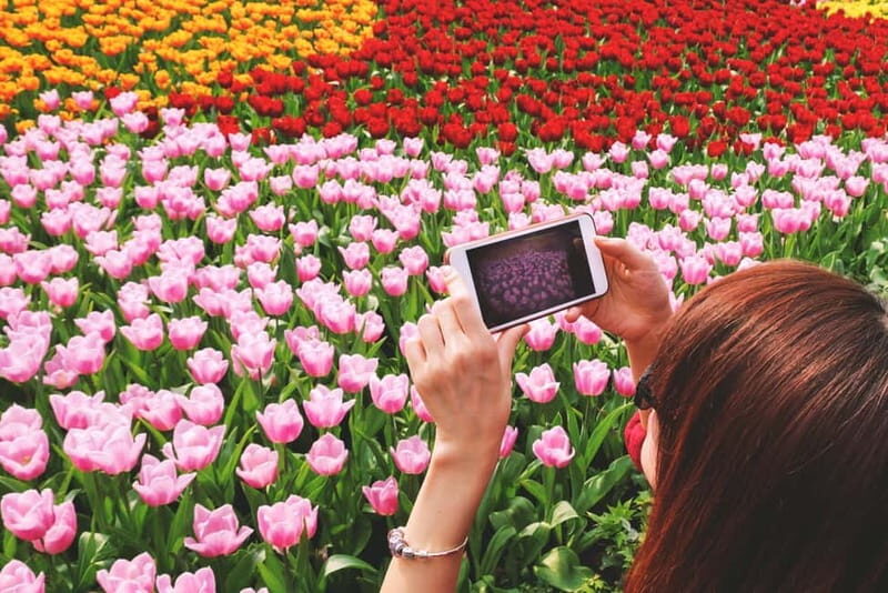 From Amsterdam: Keukenhof Tulips, Windmills & Volendam - Exploring the Itinerary in Detail