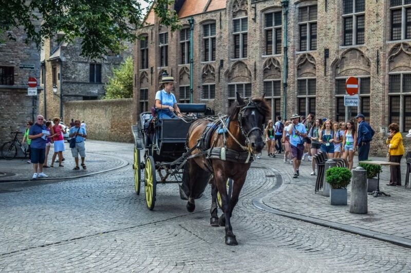 From Amsterdam: Private Sightseeing Tour to Bruges - Exploring Bruges
