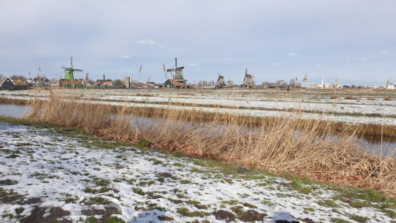 From Amsterdam: Small Group Zaanse Schans and Volendam Tour - The Sum Up