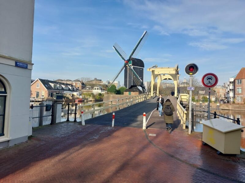 From Amsterdam: The Hague and Leiden Private Half-Day Tour - Analyzing the Value