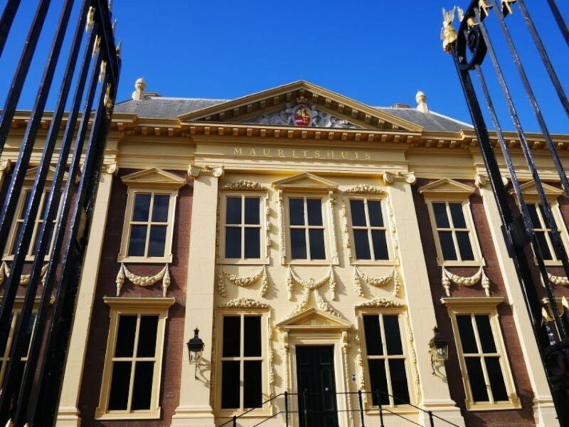 From Amsterdam: The Hague Private Trip and Mauritshuis Entry - The Sum Up