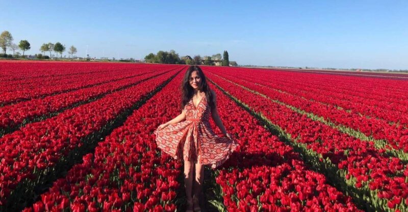 From Amsterdam: Tulip Tour Keukenhof & City Tour Delft - Key Points