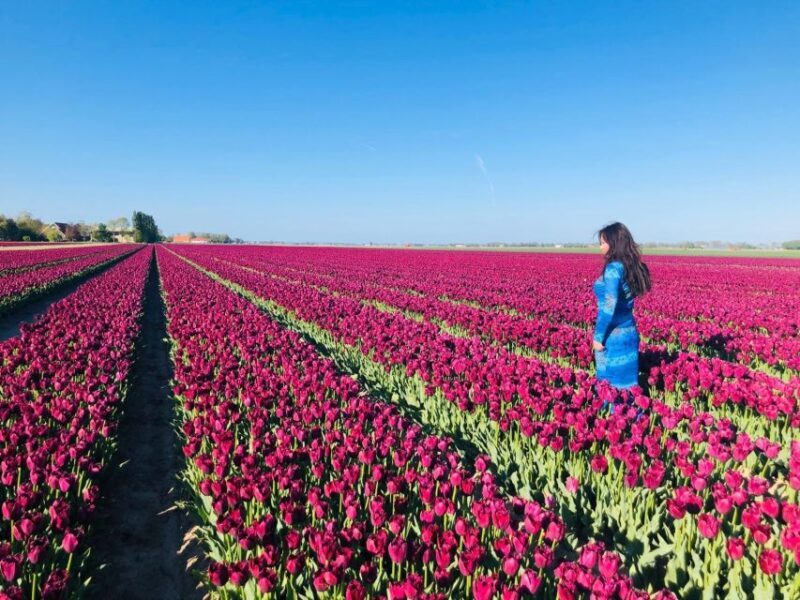 From Amsterdam: Tulip Tour Keukenhof & City Tour Delft - Discovering Keukenhof: The Garden of Europe
