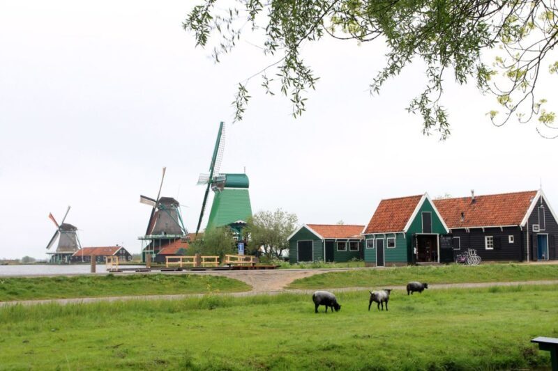 From Amsterdam: Windmills of Zaanse Schans Tour in Spanish - Reviews and Authentic Perspectives