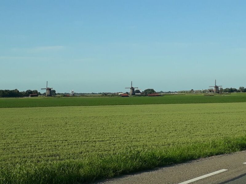 From Amsterdam: Zaanse Schans Windmills Private Tour - Why Choose This Tour?