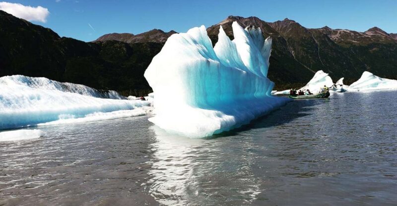 From Anchorage: 4-Day Seward and Kenai Camping & Hiking Tour - Who Should Consider This Tour?