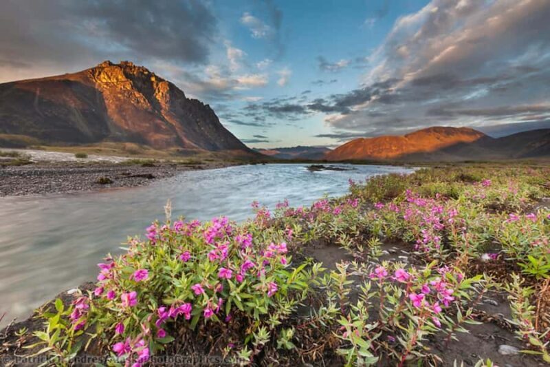 From Anchorage: 6-Day Best of Grand Alaska Tour for Ages 50+ - Authentic Experiences and the Value of Guided Tours