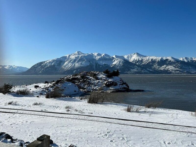 From Anchorage: Alaska Wildlife Center & Turnagain Arm Tour - FAQ