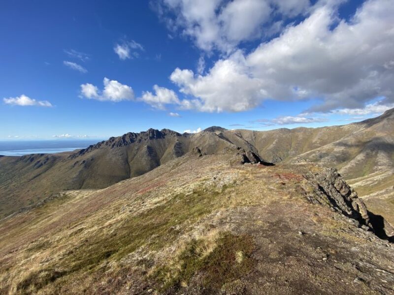 From Anchorage: Chugach State Park Guided Alpine Trek - Wildlife and Nature Highlight