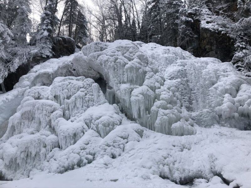 From Anchorage: Chugach State Park Winter Walking Tour - An In-Depth Look at the Tour Experience