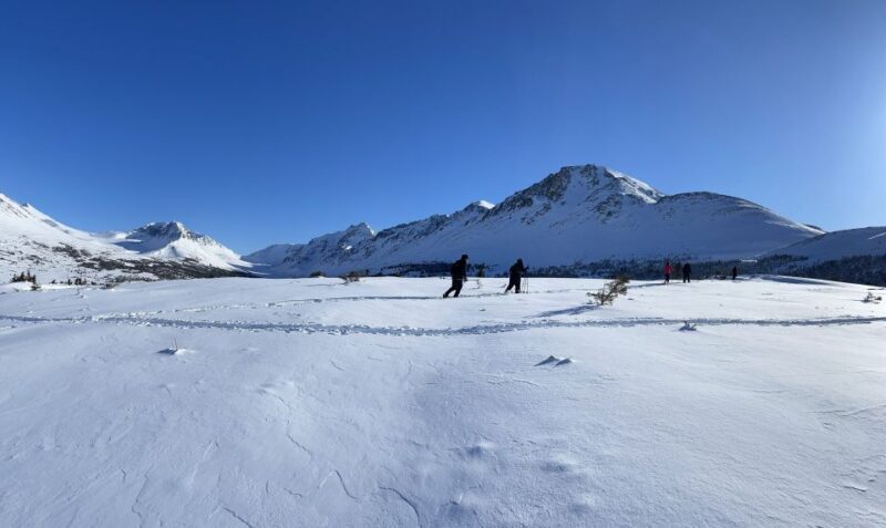 From Anchorage: Glen Alps Beginner's Snowshoeing Adventure - An Introduction to Snowshoeing for All Skill Levels