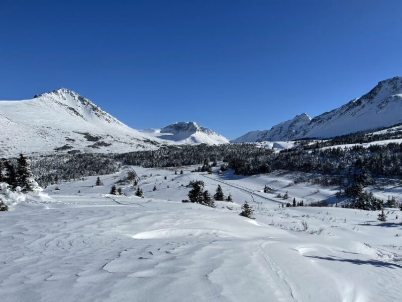 From Anchorage: Glen Alps Beginner's Snowshoeing Adventure - Pricing and Value