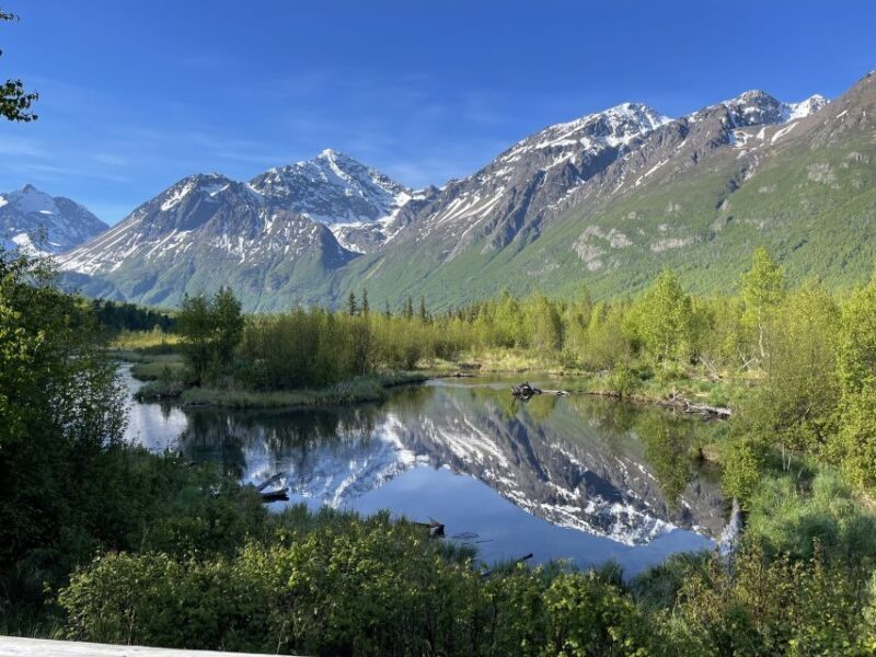 From Anchorage: Valley and Forest Hike with Naturalist Guide - Key Points