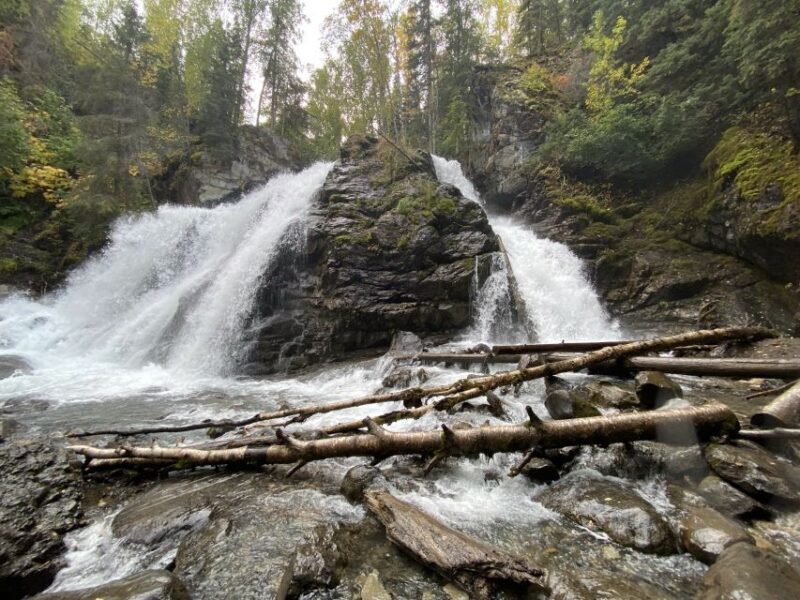 From Anchorage: Valley and Forest Hike with Naturalist Guide - An Introduction to the Tour