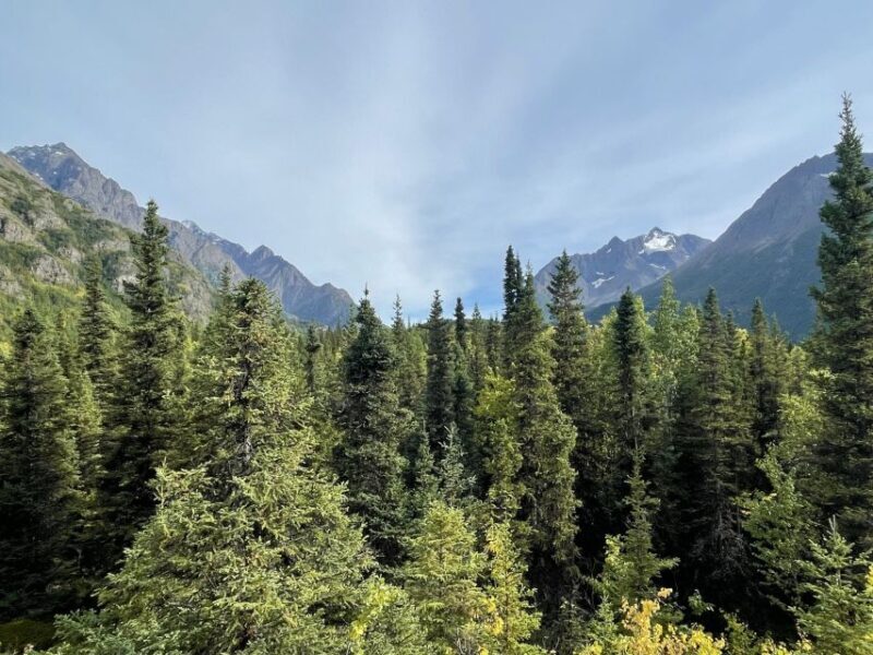 From Anchorage: Valley and Forest Hike with Naturalist Guide - Logistics and Practical Details