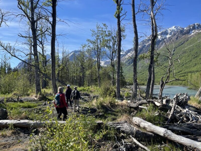 From Anchorage: Valley and Forest Hike with Naturalist Guide - Our Impressions Based on Reviews