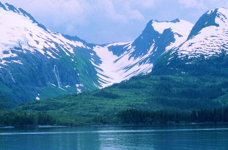 From Anchorage: Wilderness, Wildlife, & Glacier Experience - FAQ