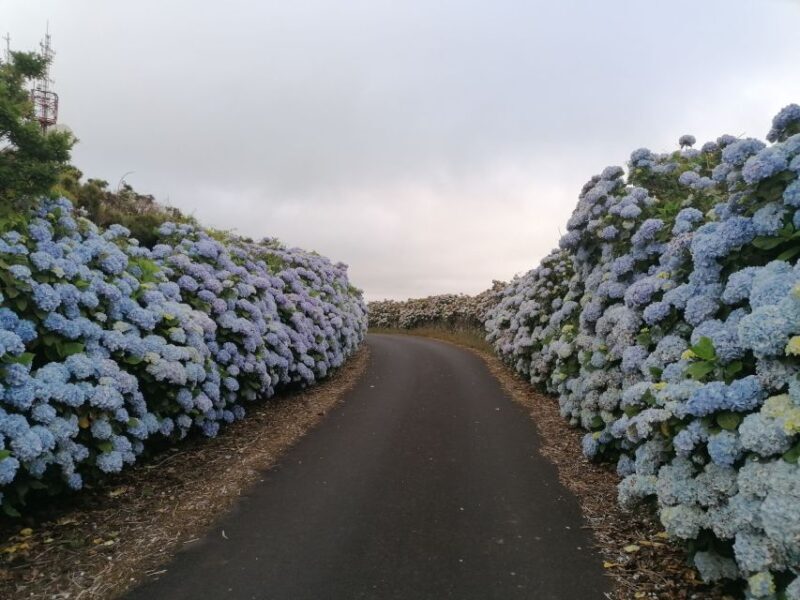 From Angra: Terceira Island Full-Day Tour - Frequently Asked Questions