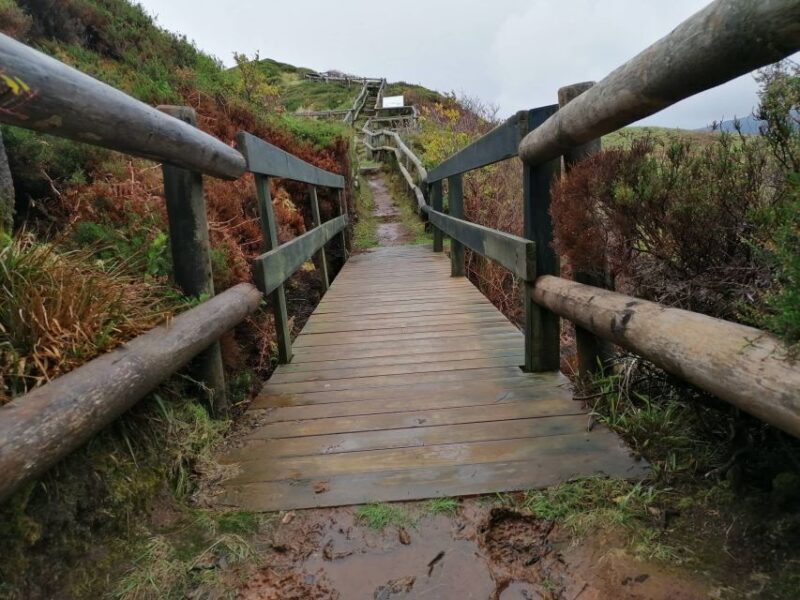 From Angra: Terceira Island Half-Day Geotour (Shared Tour) - Authentic Traveler Insights