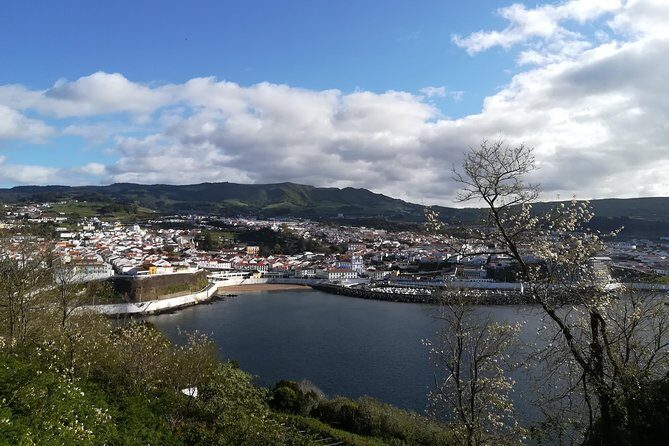 From Angra: Terceira Island Half-Day Tour (Shared Tour) - The Sum Up: Is This Tour Right for You?
