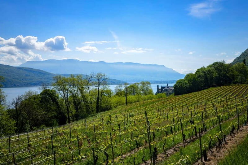 From Annecy: Chambotte, Mont Revard & Biodynamic Wine Tasting - Key Points