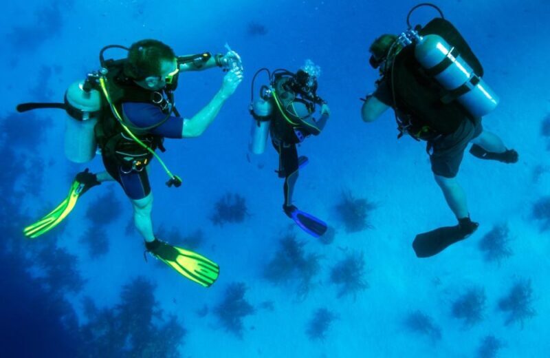 From Antalya| Kemer: Diving Tour with Experienced Instructor - The Itinerary and What You Can Expect