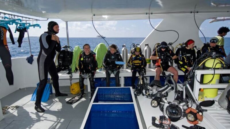 From Antalya| Kemer: Diving Tour with Experienced Instructor - What Makes This Tour Stand Out