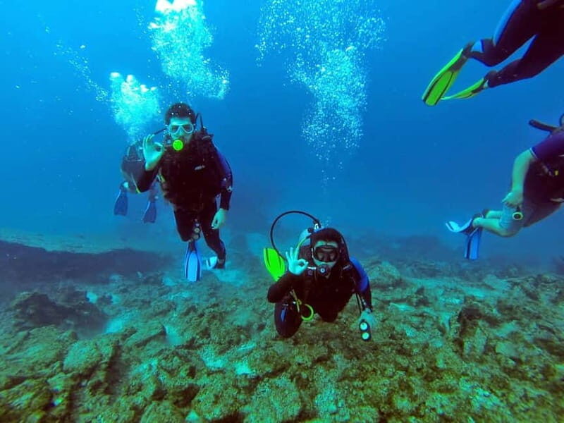 From Antalya: Scuba Diving With Lunch and Transfer - Key Points