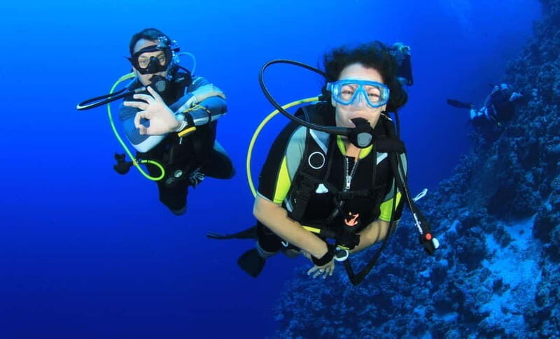From Antalya: Scuba Diving With Lunch and Transfer - Discovering a Full-Day Underwater Adventure in Antalya